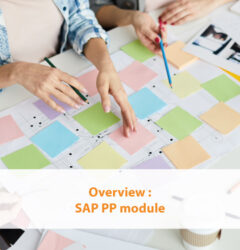 SAP PP Module : Transactions and Flows