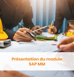 Module SAP MM : Transactions et Flux