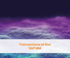 Module SAP MM : Transactions et Flux