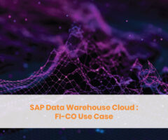 RapidViews FI-CO - Use cases